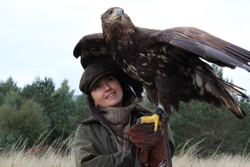 Private Falconry Experience